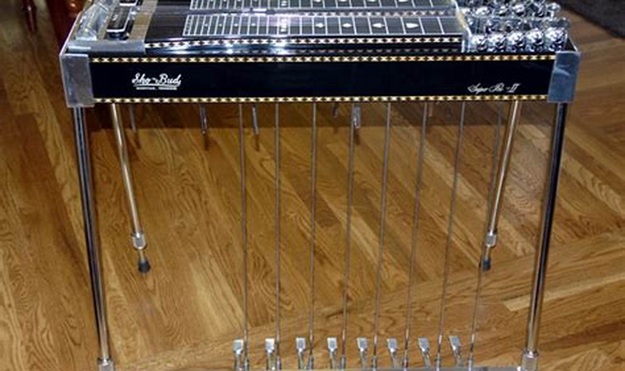 Unveiling the Secrets of Pedal Steel Guitar Ownership