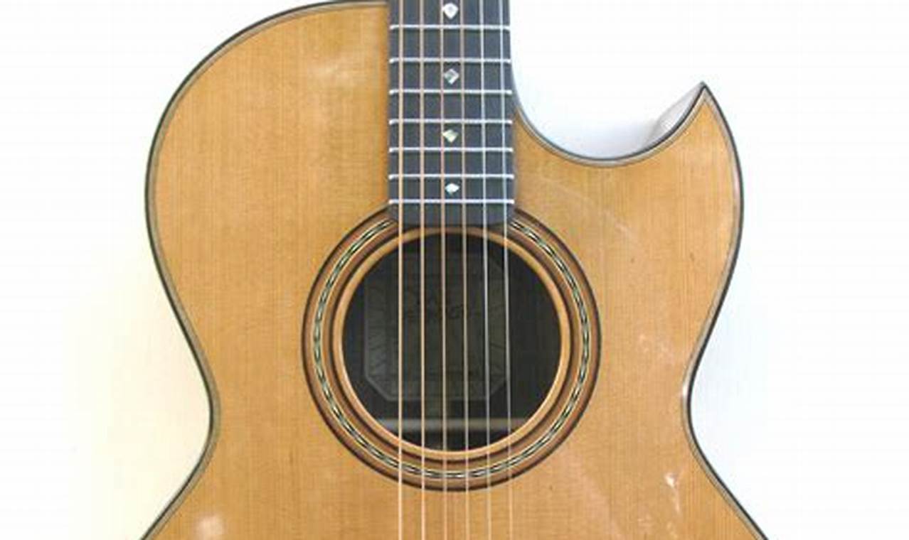Unleash the Secrets of Steel String Guitars: A Journey of Discovery and ...
