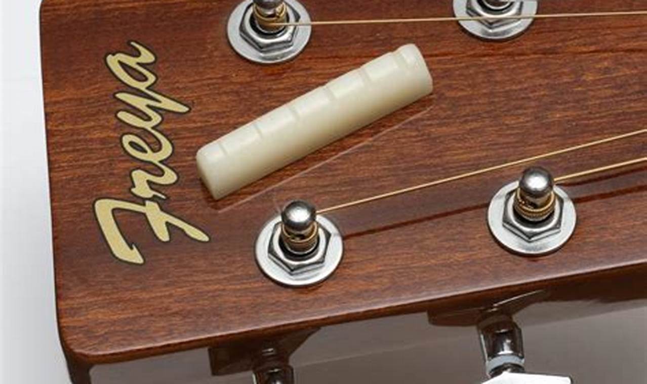 Unveiling the Secrets of the Acoustic Guitar Nut: A Journey to Enhanced ...