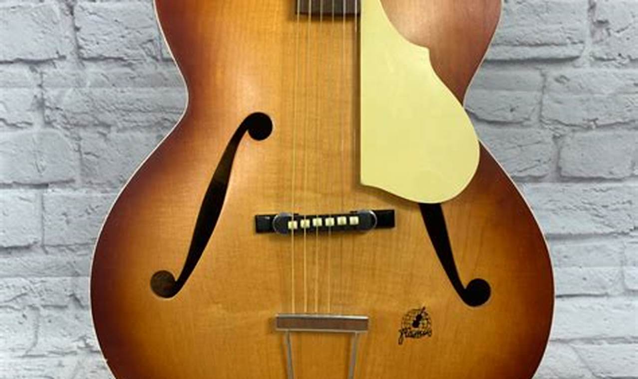 Unveiling the Enchanting World of Vintage Acoustic Guitars: Discoveries ...