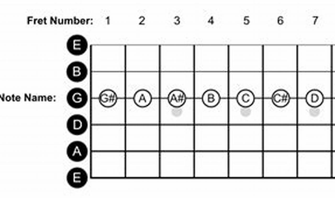 Unlocking the Secrets of the G String: A Journey of Discovery and Insight