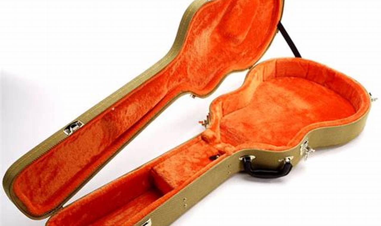 Unveiling the Secrets of Tweed Guitar Cases: A Journey of Discovery and ...