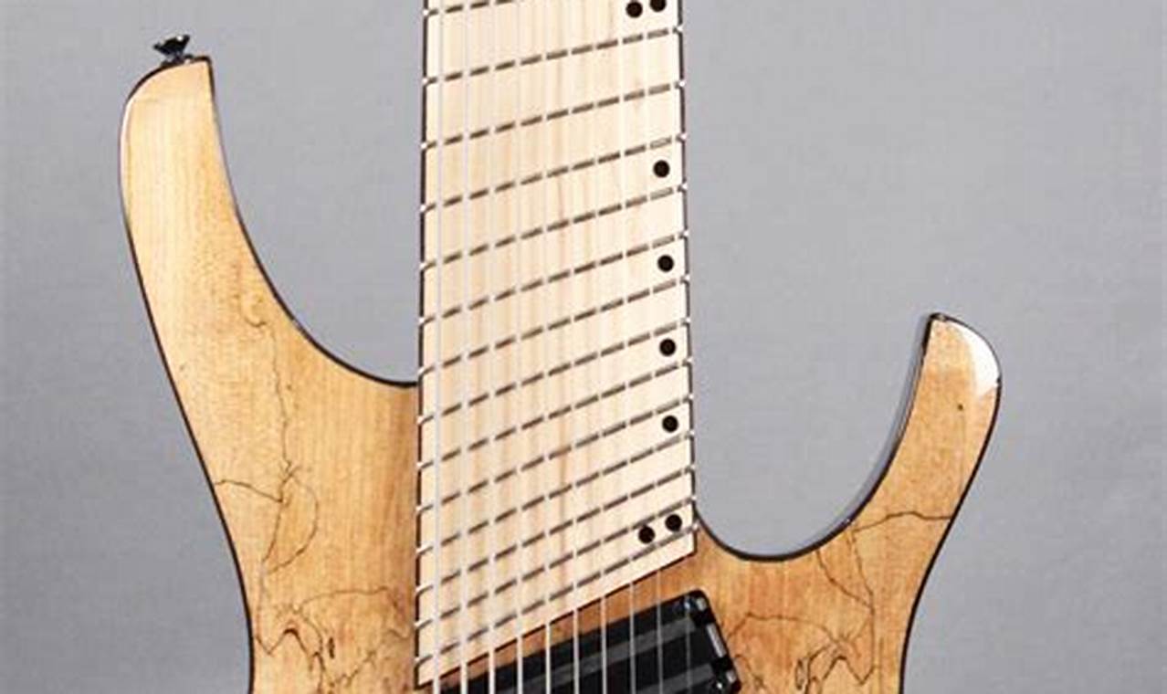 Unleash the Sonic Power: Discoveries and Insights into the Ten String Guitar