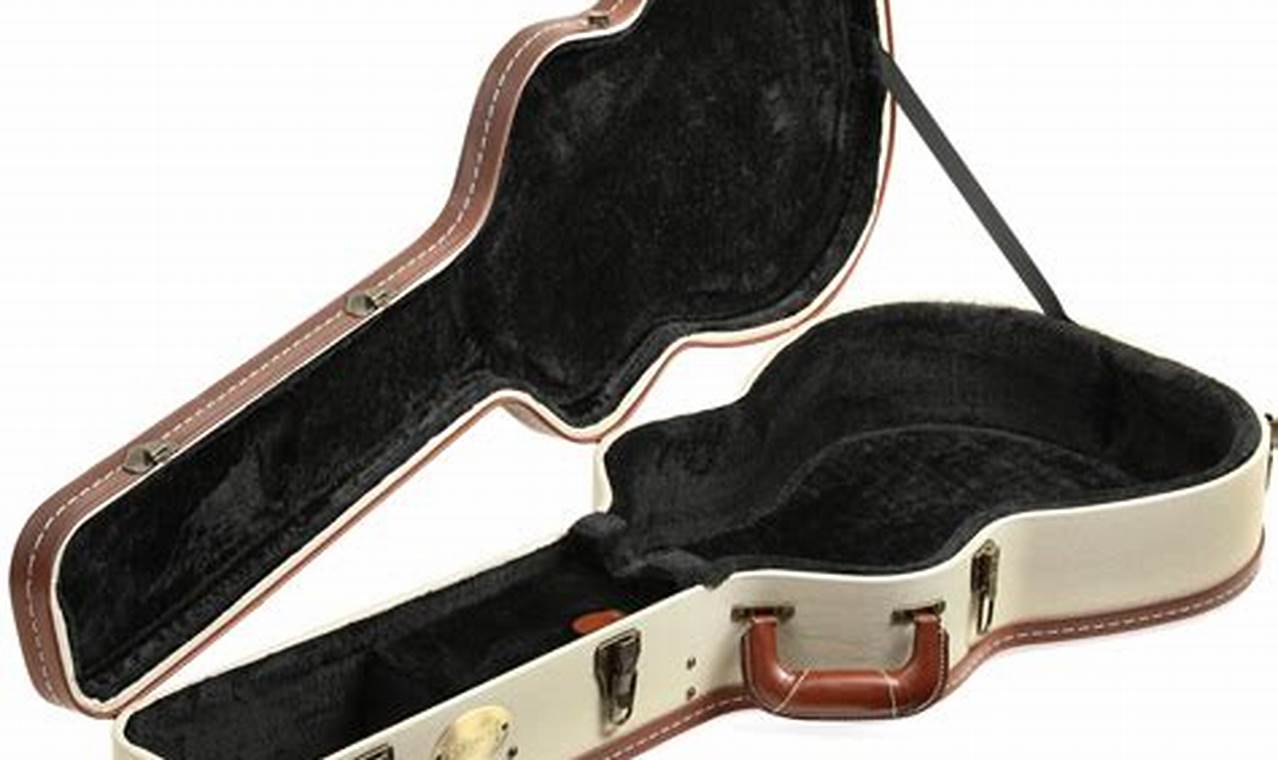 Unveiling the Secrets of Alvarez Guitar Cases: A Journey to Sound ...
