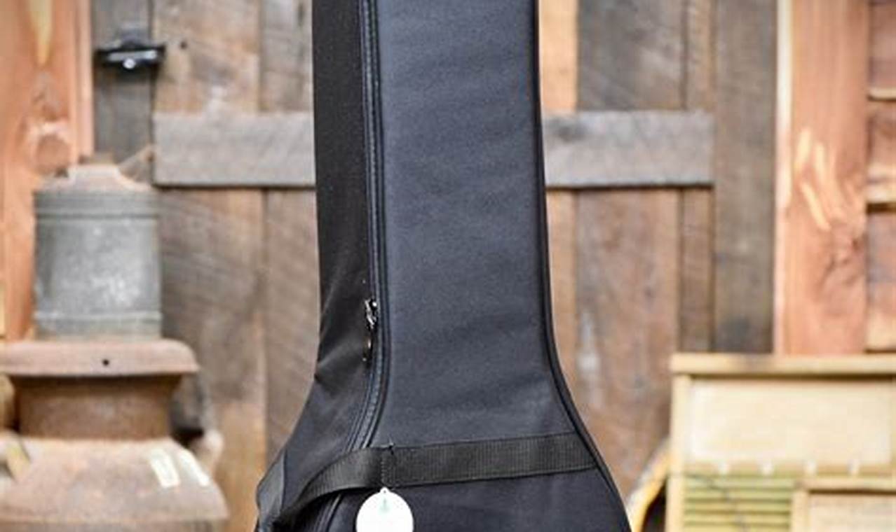 Uncover the Secrets of Guitar Case Soft: Your Guide to Protection and ...