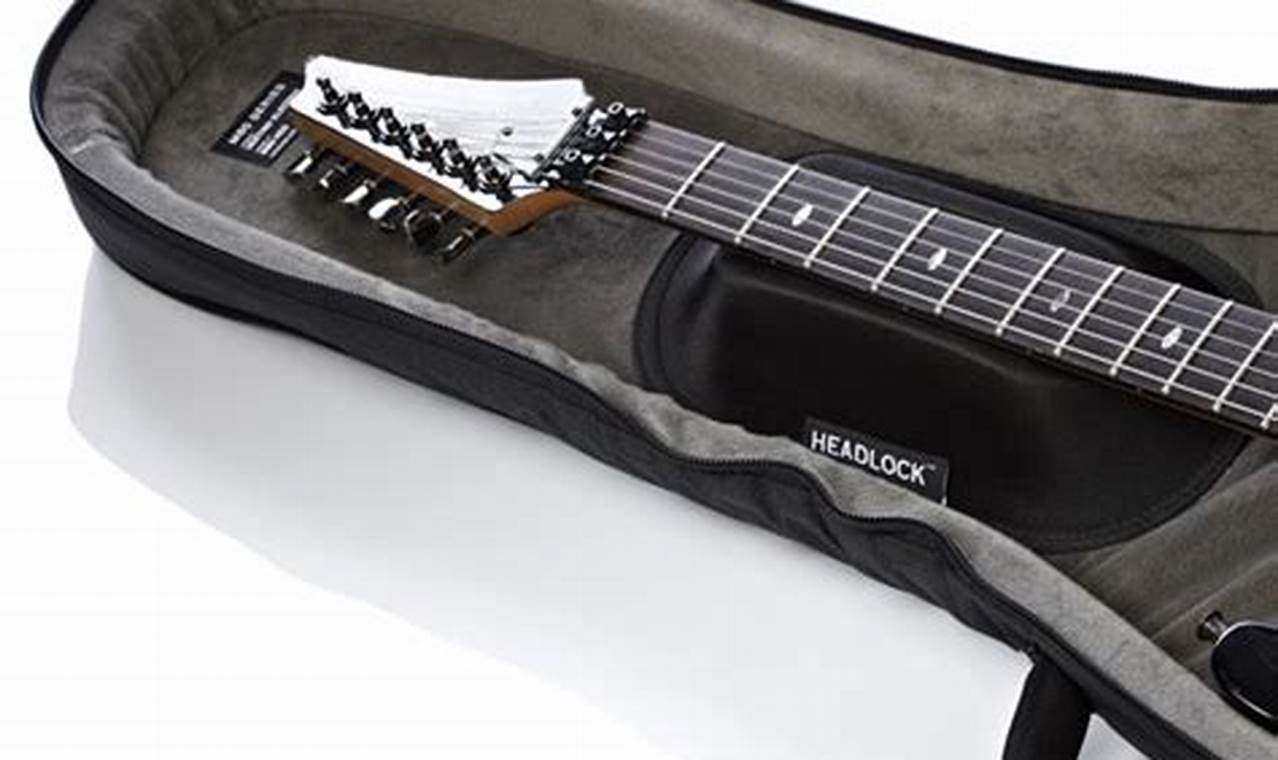 Unveiling the Secrets of Mono Guitar Cases: A Journey of Protection and ...