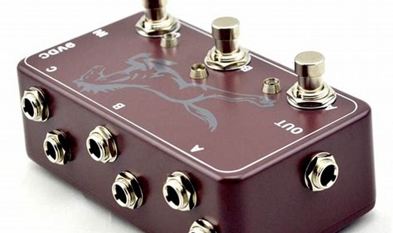 Discover the Ultimate Guide to Guitar Pedal Switches: Unlocking Endless ...