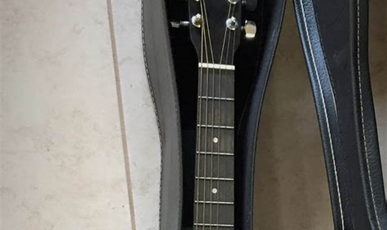 Unveiling the Enchanting World of Palmer Acoustic Guitars: Discoveries ...