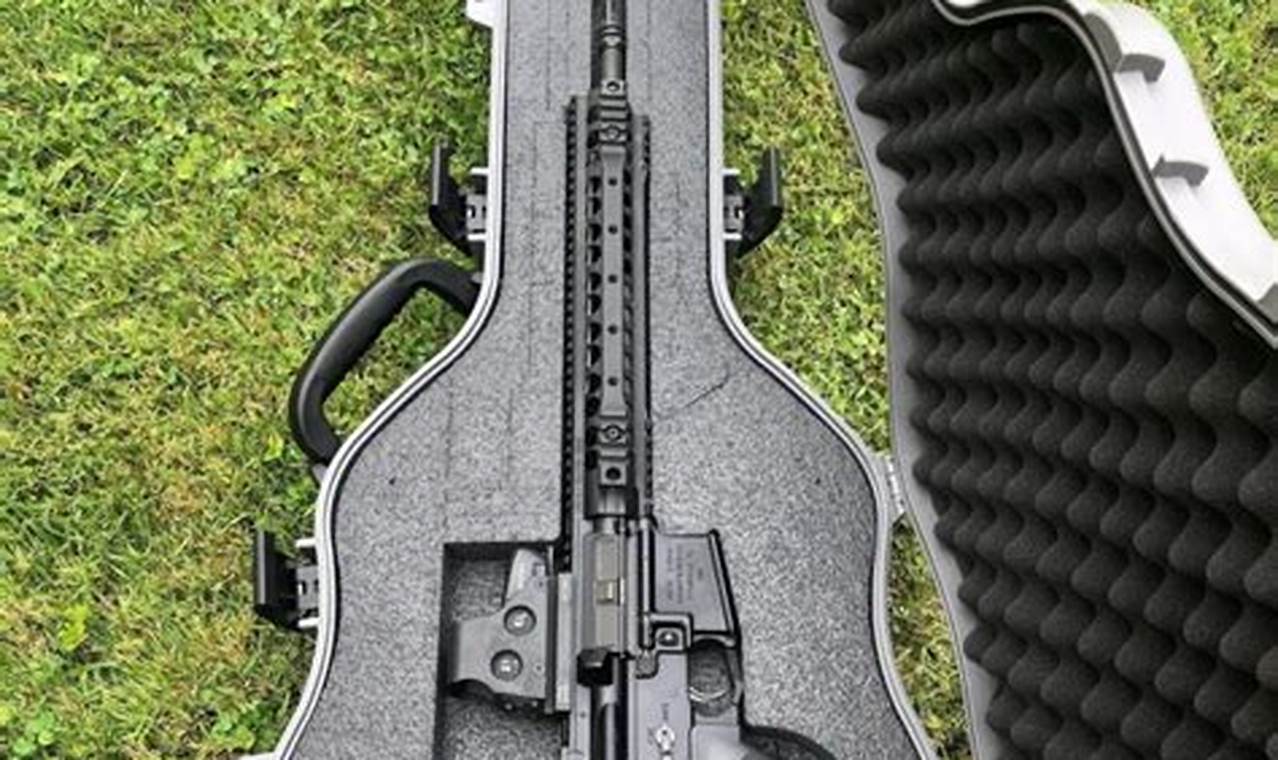 Unveiling the Secrets of AR-15 Guitar Cases: A Journey of Protection ...