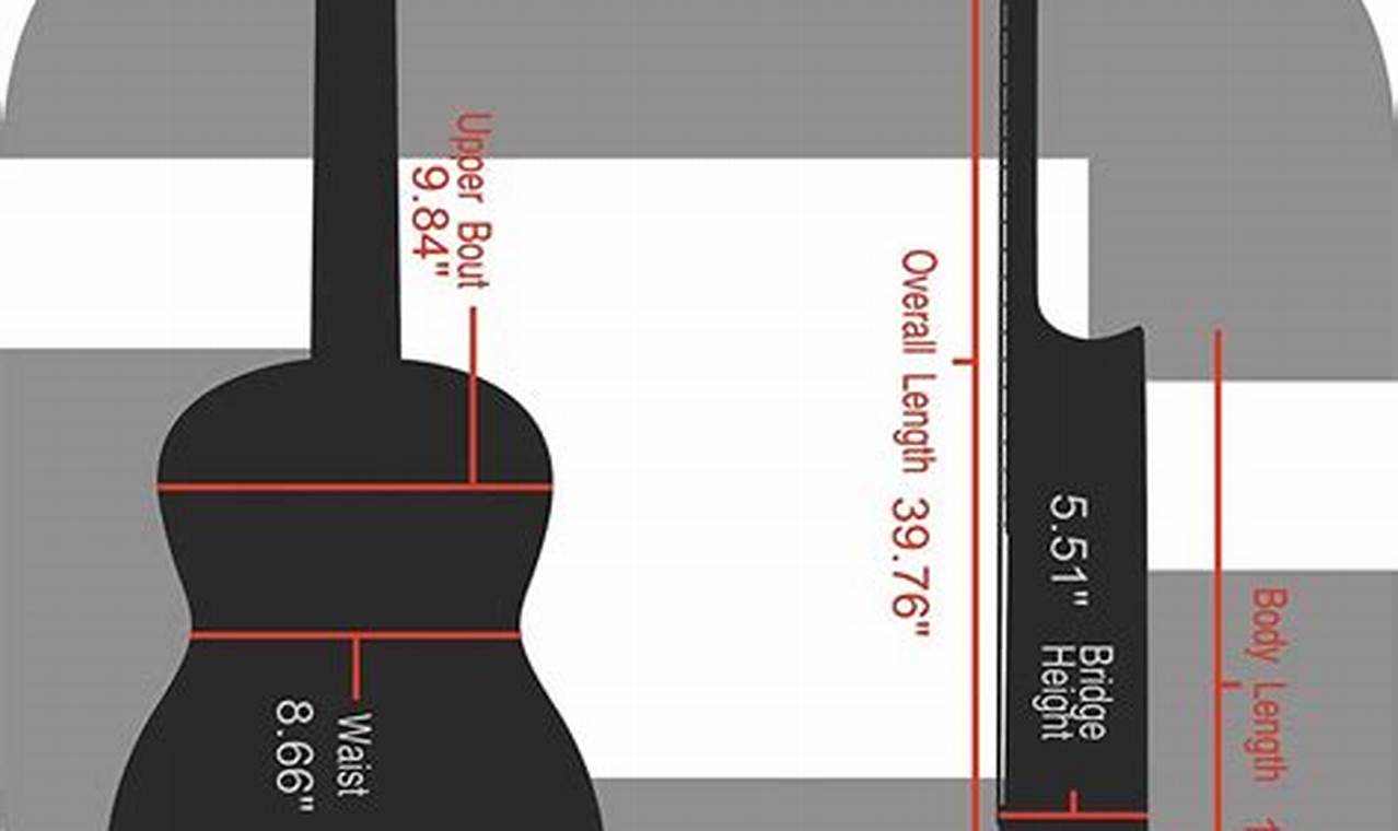 Uncover the Secrets of Guitar Case Measurements: A Guide to Perfect ...