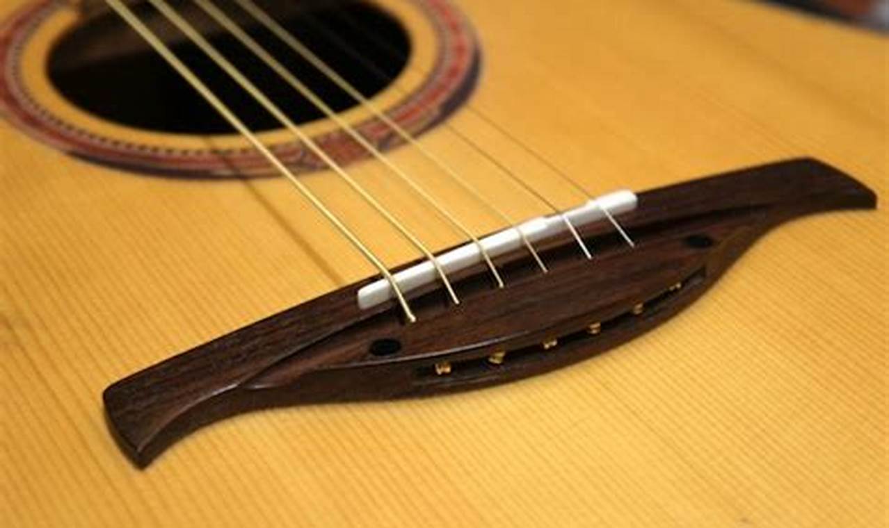 Unveiling the Secrets of Acoustic Guitar Bone Saddles: Discoveries and ...