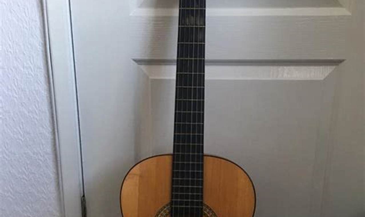 Unveiling the Secrets of Cat Gut Strings: A Journey into the Heart of ...