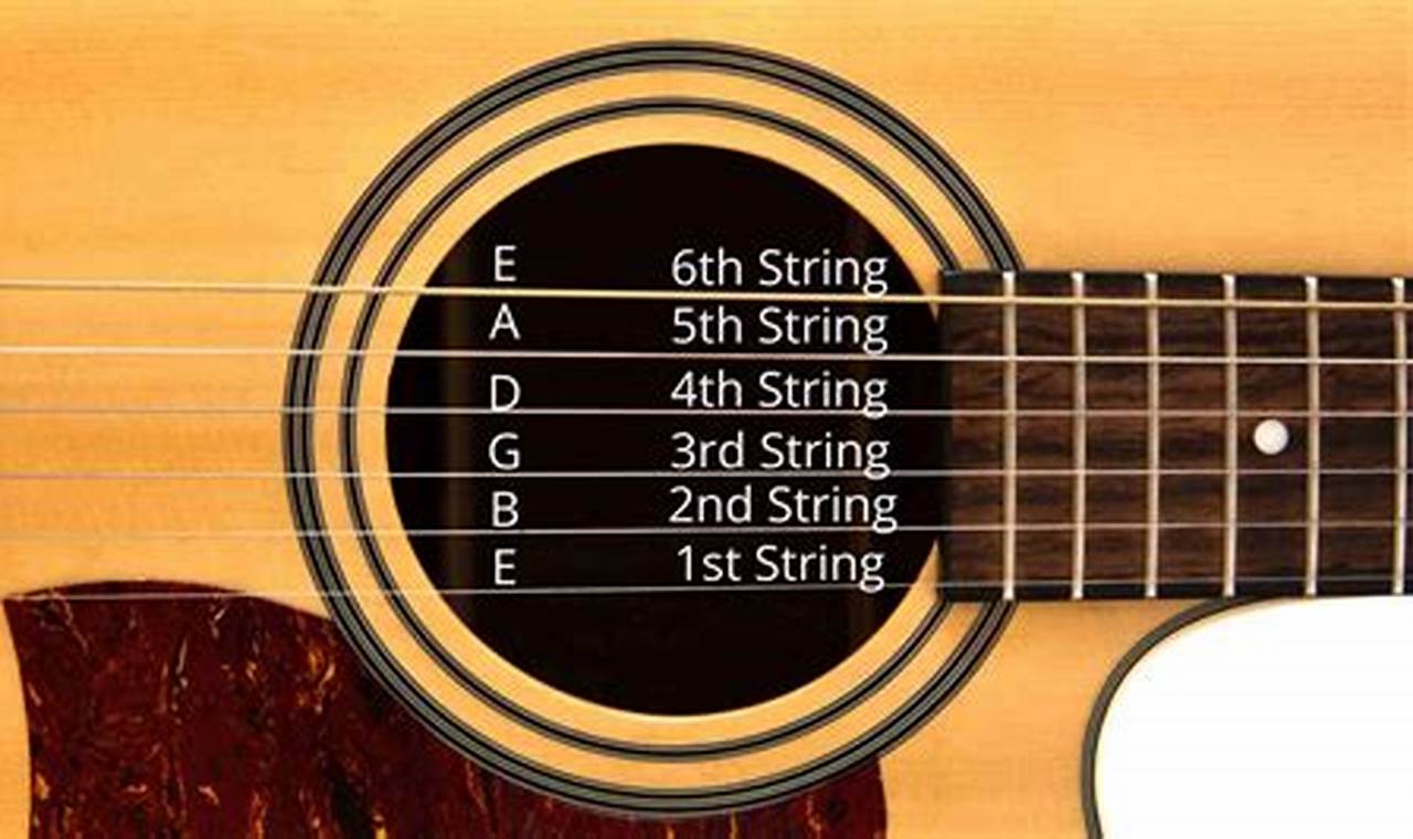 Unveil the Secrets of the D String Guitar: A Journey of Discovery