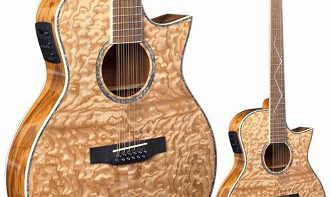 Unveil the Secrets: Find Your Dream 12-String Guitar at an Unbeatable Price