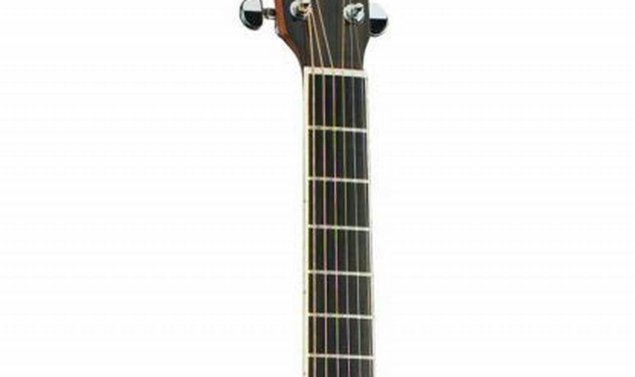 Unveiling the Secrets of Acoustic Guitars with Narrow Necks: A Journey ...