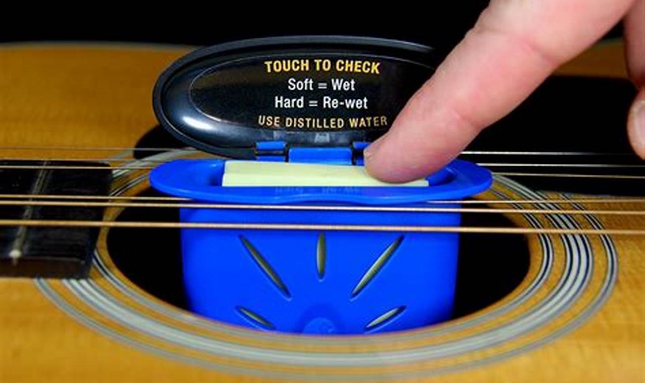 Unveiling the Secrets: Discover the Best Acoustic Guitar Humidifier for ...