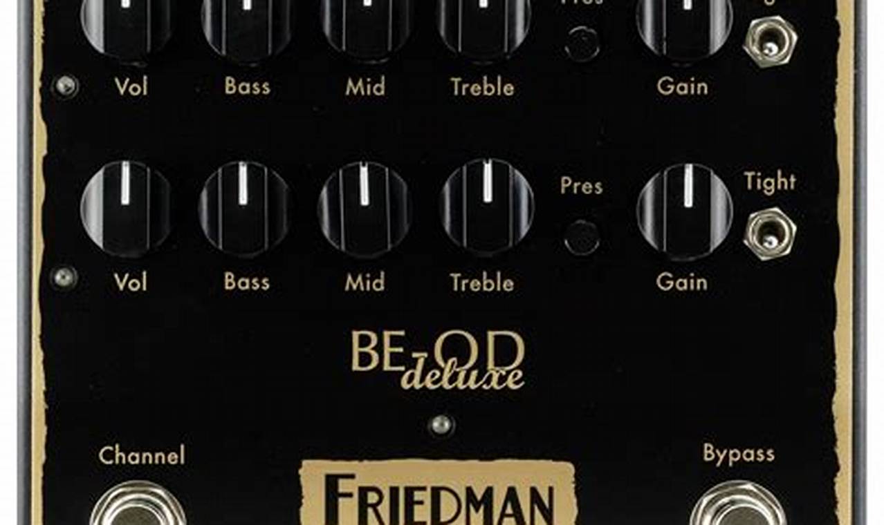 Unleash Your Guitar's True Potential: Discover the Secrets of Friedman ...