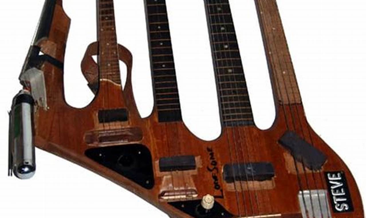 Unveiling the Multi Neck Acoustic Guitar: A Journey of Sonic ...