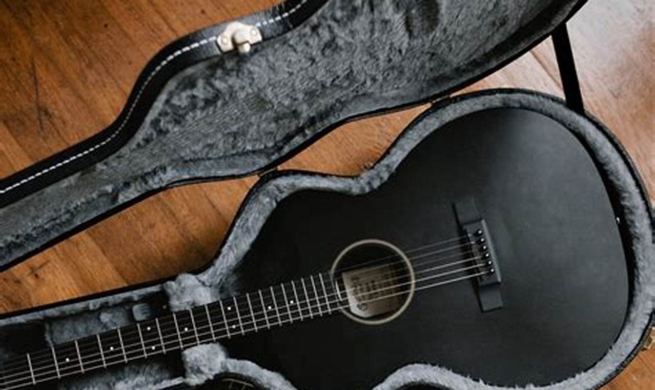 Unveiling the Secrets of the Best Guitar Case: A Journey to Protect ...