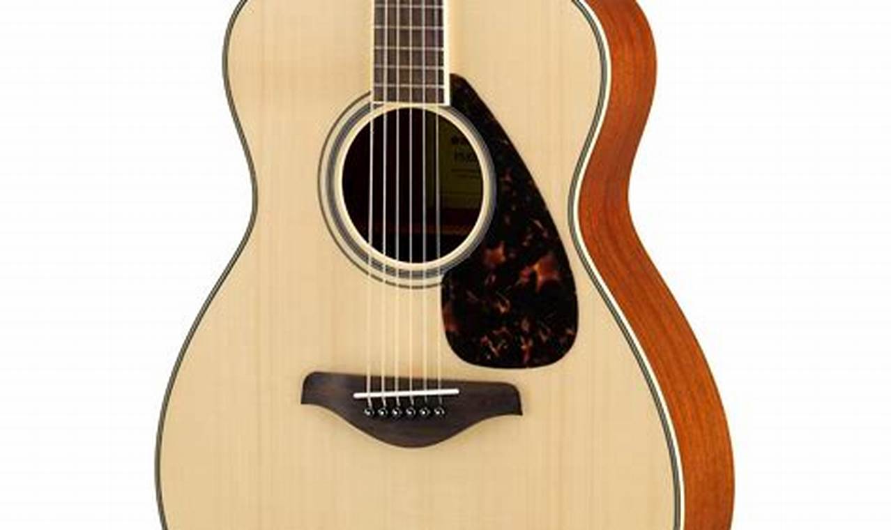 Unveiling the Hidden Gems: Discoveries in Acoustic Guitars with Small ...