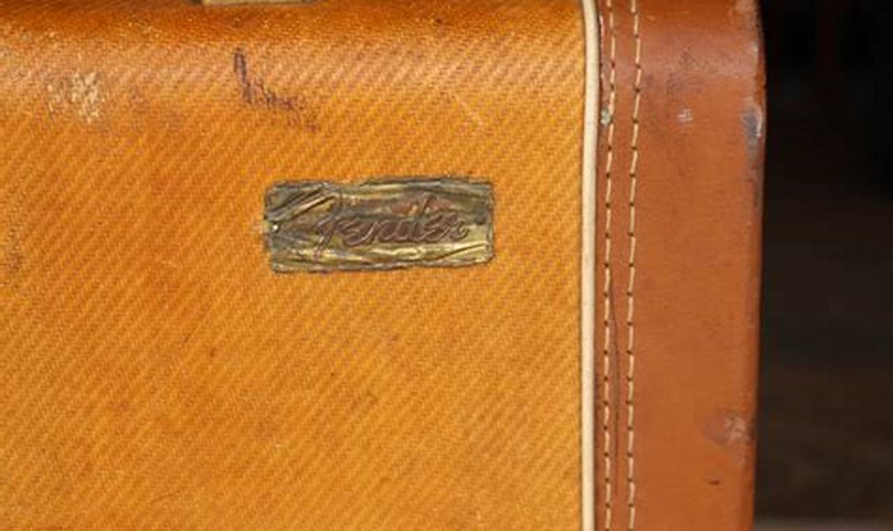 Unveiling the Timeless Charm of Tweed Case Guitars: Discoveries and ...