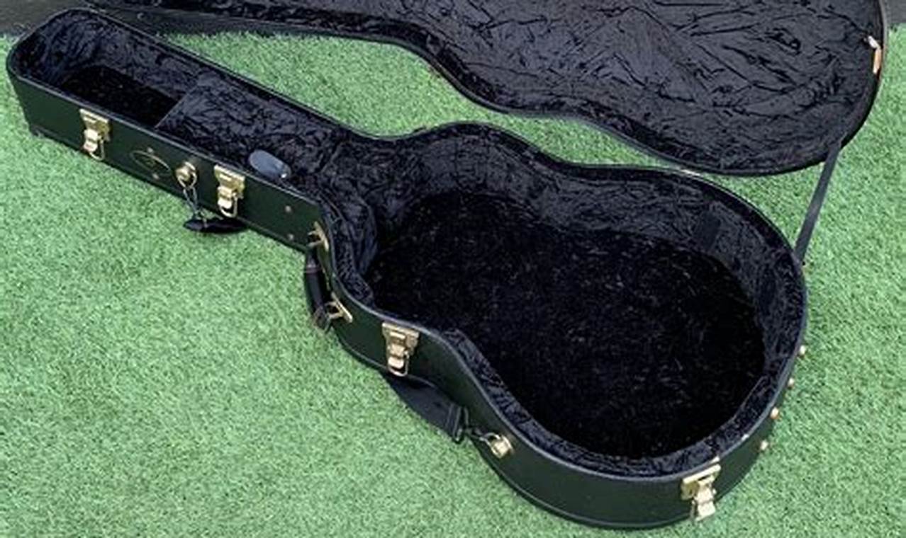 Unveiling the Secrets of Breedlove Guitar Cases: Discover Protection ...
