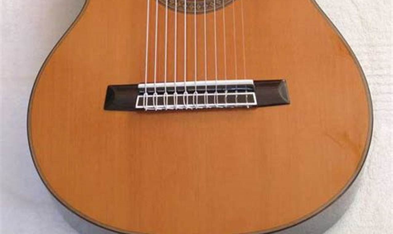 Unlock Hidden Sonic Gems: Discover the Allure of the 11-String Alto Guitar