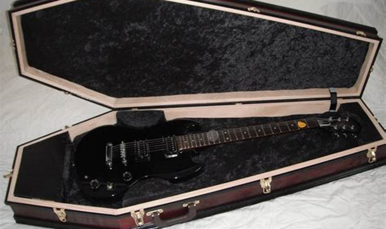 Unveiling the Secrets of Custom Guitar Cases: Discover Protection and Style