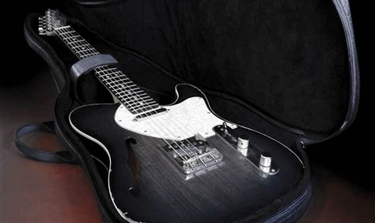Unveiling Secrets: The Ultimate Guide to Guitar Carrying Cases