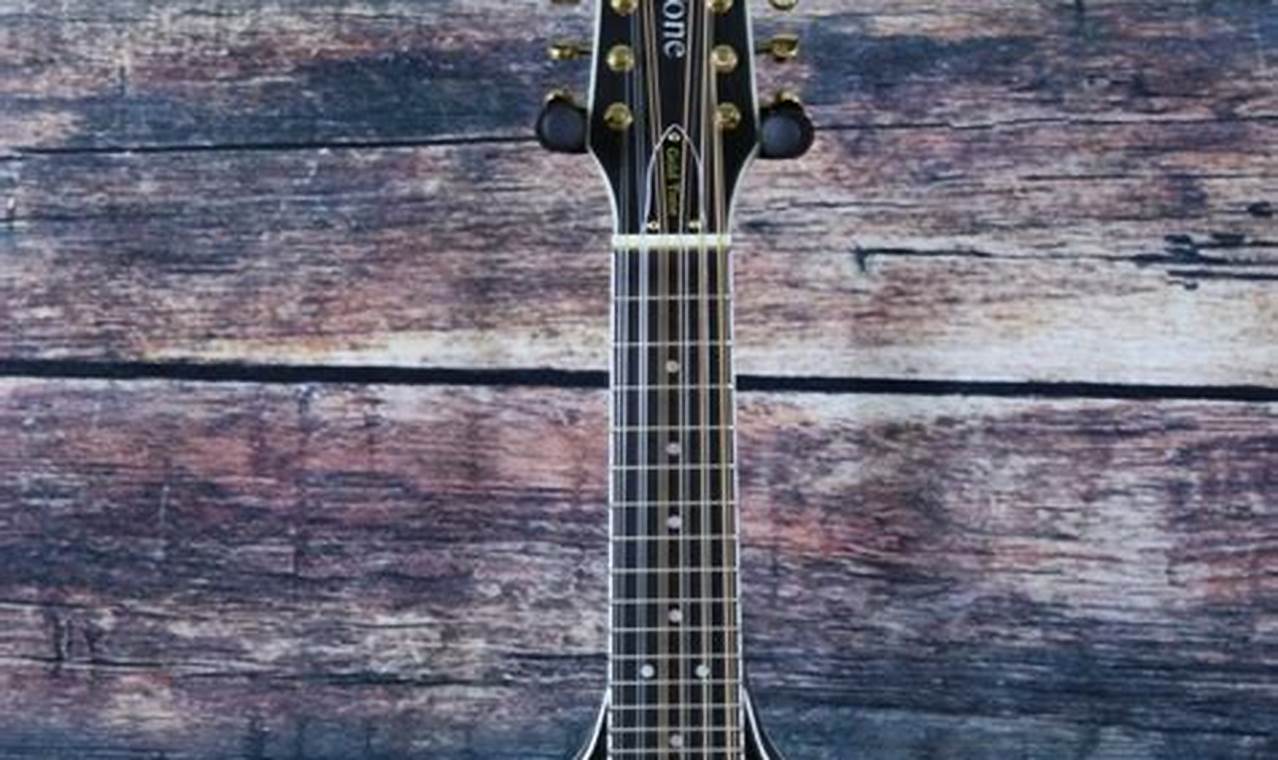Unveiling the Enchanting World of 12 String Mandolin Guitars