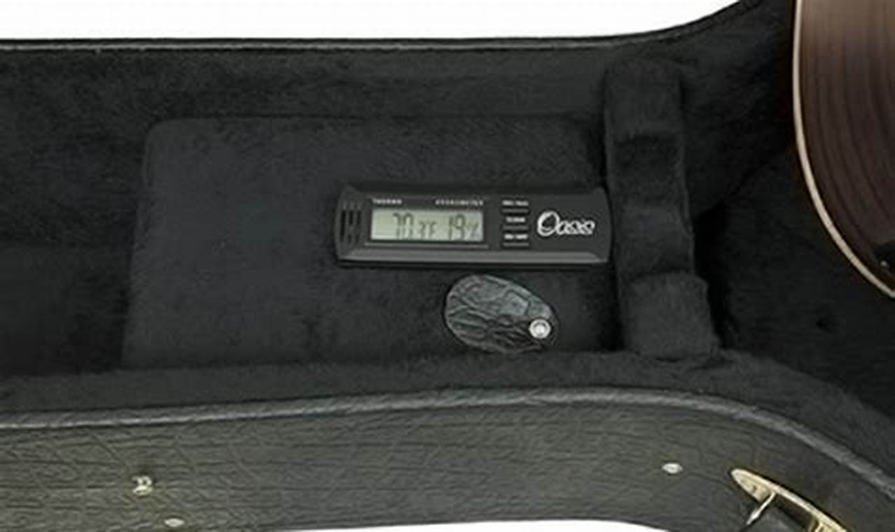 Unlock the Secrets of Humidity Control: Discover the Ultimate Guitar ...