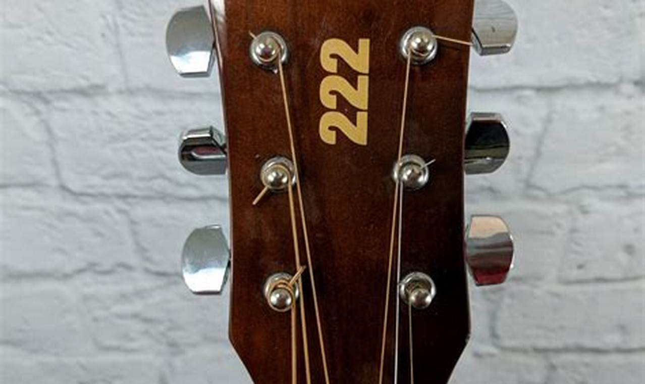 Unlock the Secrets of the "222 Acoustic Guitar": A Comprehensive Guide