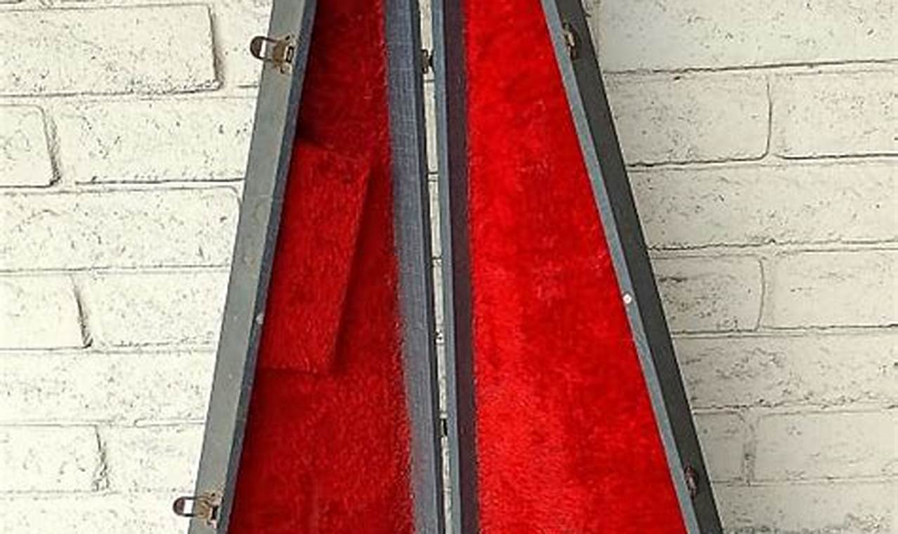 Unveiling the Secrets: Discover the Ultimate Danelectro Guitar Case ...
