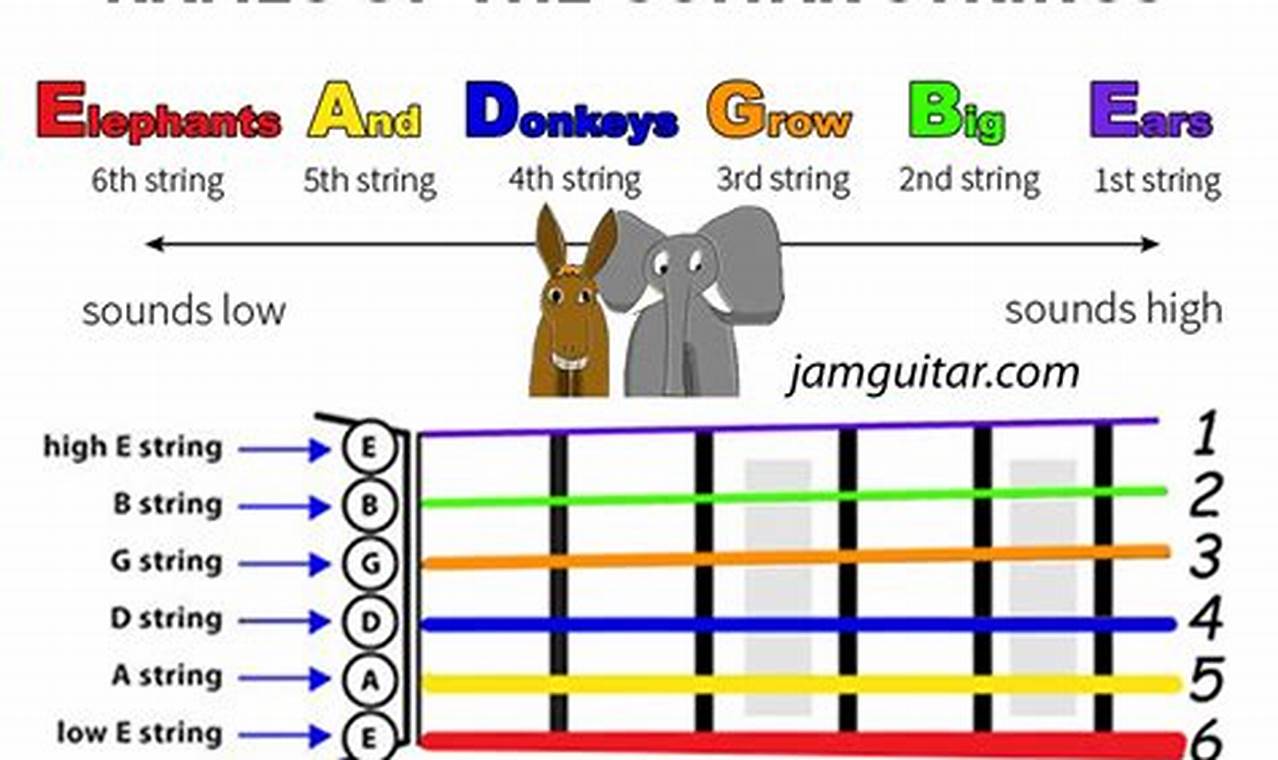 Unveiling the Secrets of 8-String Guitar Strings: A Journey of Sonic ...