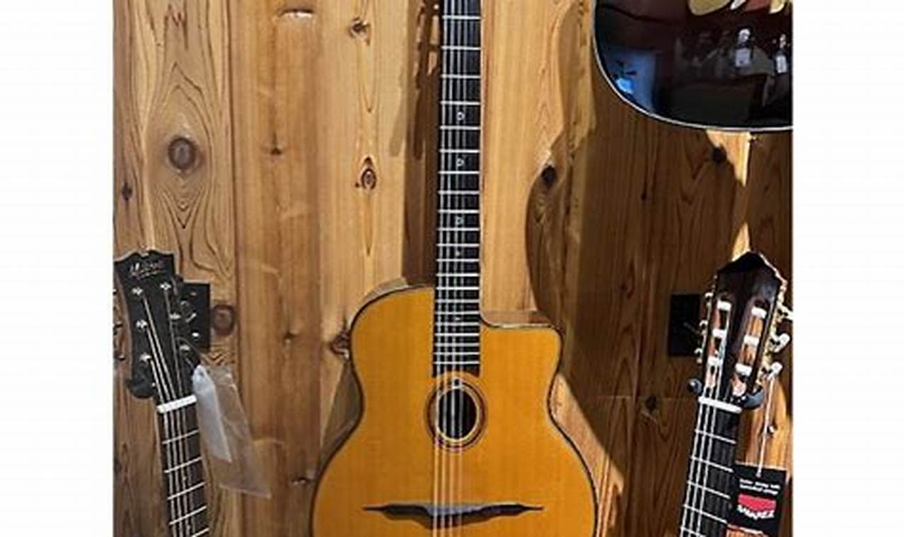 Unveil the Gypsy Soul: Discoveries with the Gitane DG-320 Lulo Reinhardt