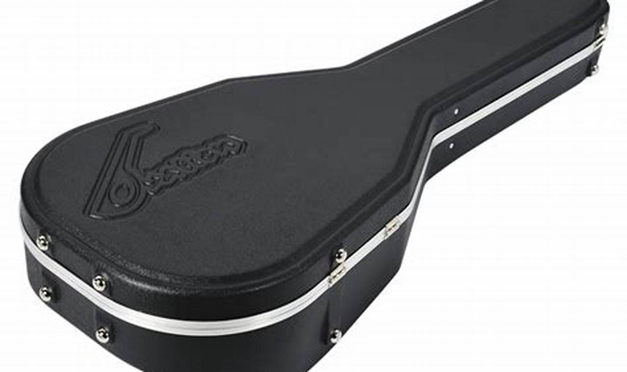 Discover Unmatched Protection: Delve into the World of Ovation Guitar Cases