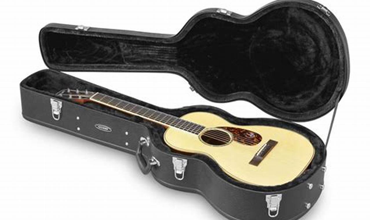 Transform Your Parlor Guitar's Protection: Unveil the Secrets of ...