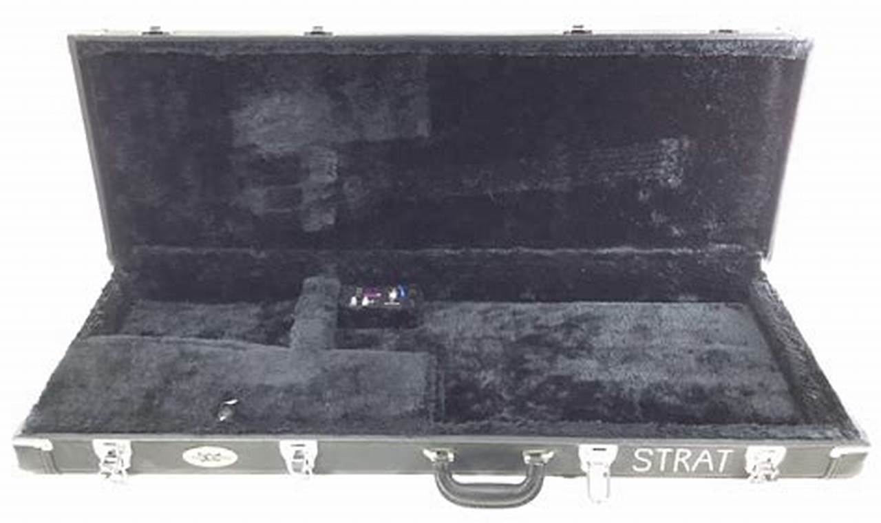 Unveiling the Postal Monkey Guitar Case: A Gateway to Protection and Style