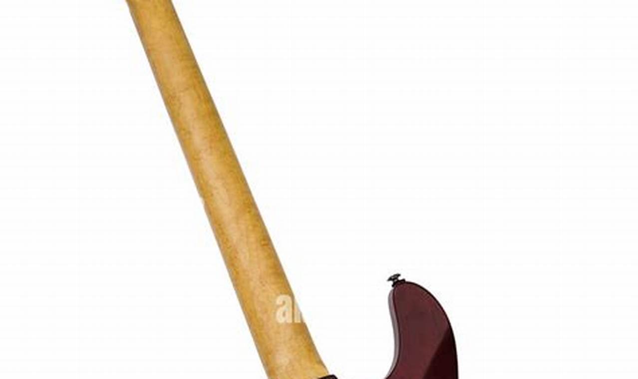 Unlock the Secrets of Electric Guitar Backs: Discover Tone, Resonance ...