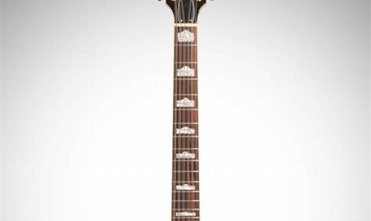 Unleash the Enchanting Sounds of the Electric Guitar 12 String ...
