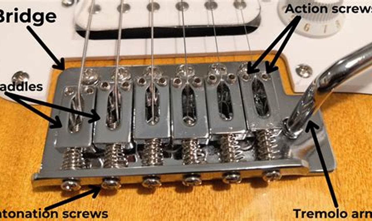 Unveiling the Secrets: Discover the Ins and Outs of Electric Guitar ...