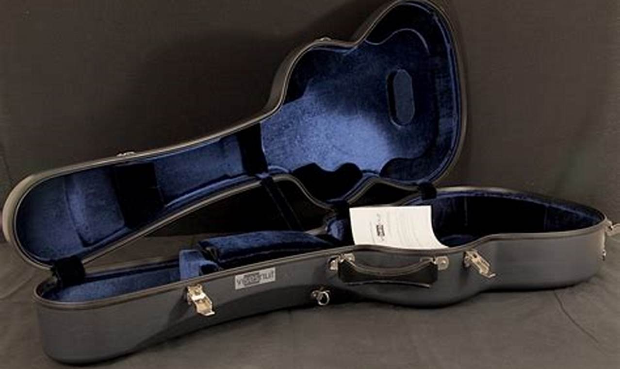 Discover the Ultimate Protection: Unveiling Visesnut Guitar Cases