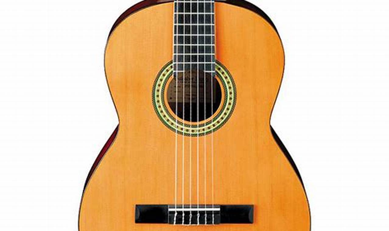 Unveiling the Enchanting World of Nylon Stringed Guitars: Discoveries ...