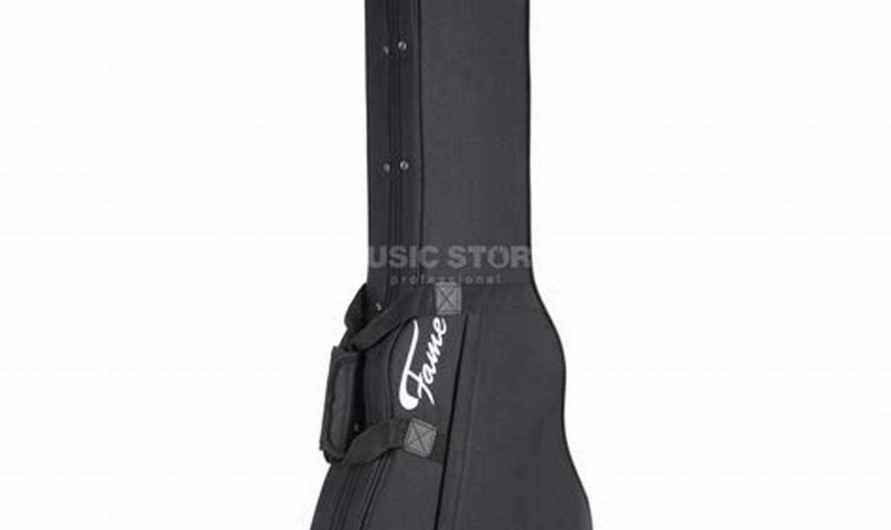 Discover the Ultimate Soft Case Secrets for Your Electric Guitar's ...