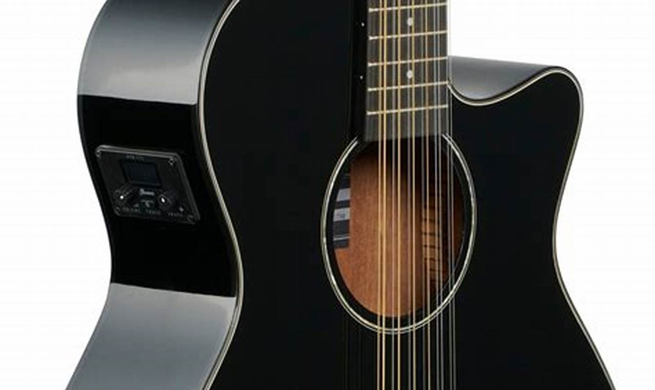 Unveiling the Enchanting World of 12-String Acoustic Guitars: A Journey ...