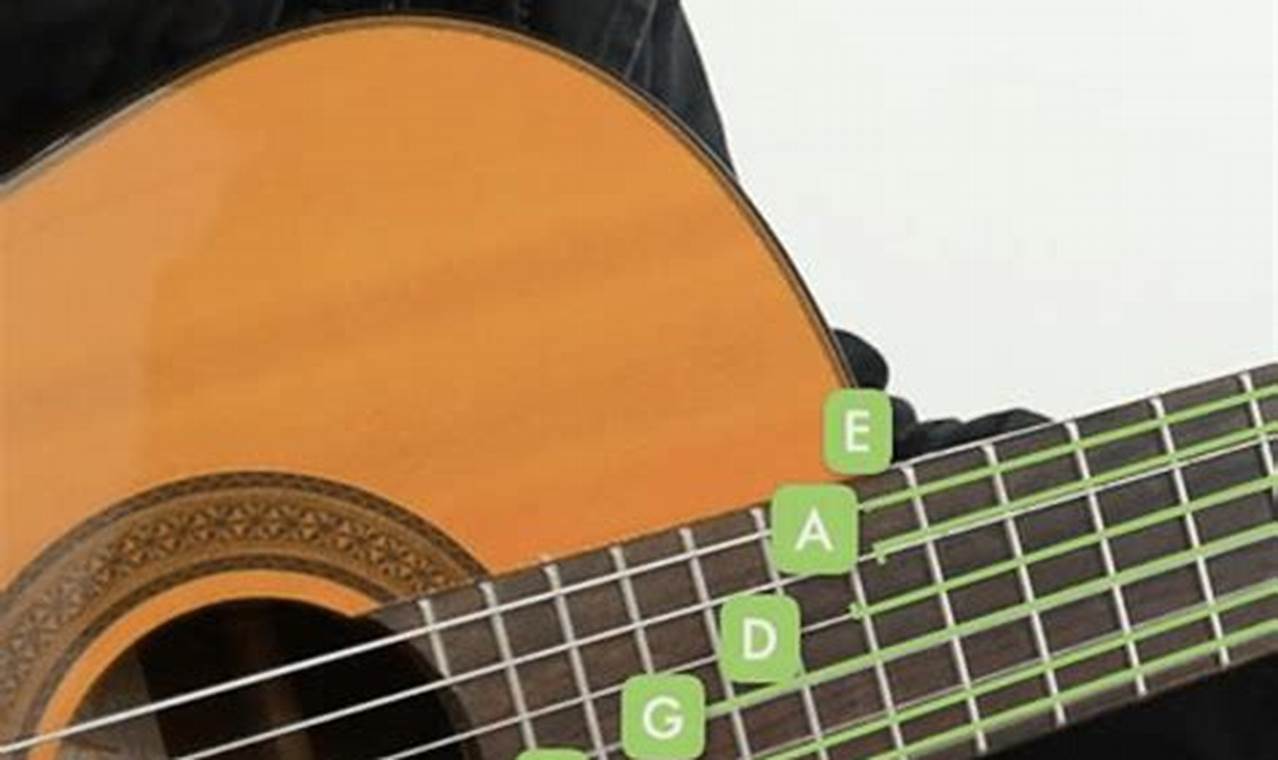 Unveiling the Secrets of Acoustic Guitar Strings: A Journey of Tone and ...
