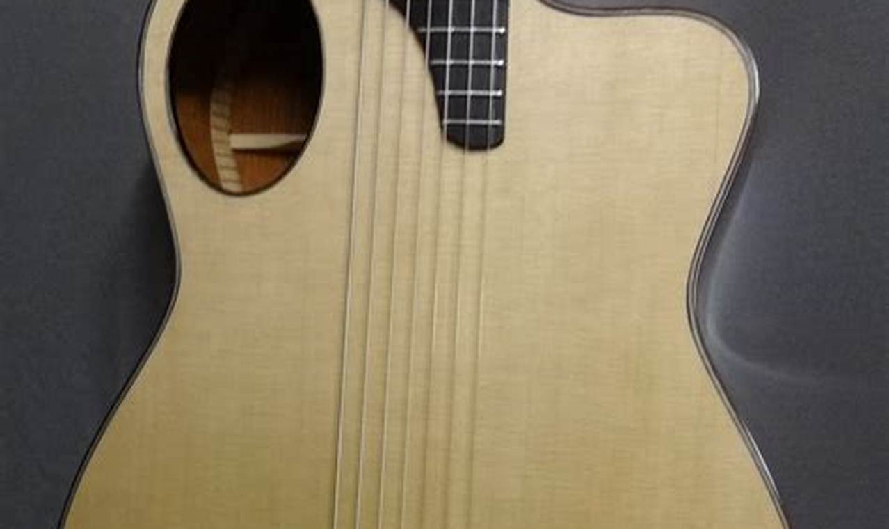 Unveiling the Sonic Alchemy of 7 String Nylon Guitars: An Exploration ...