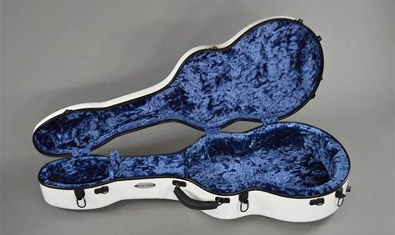 Discover the Ultimate Protection for Your Archtop Guitar: A Journey of ...
