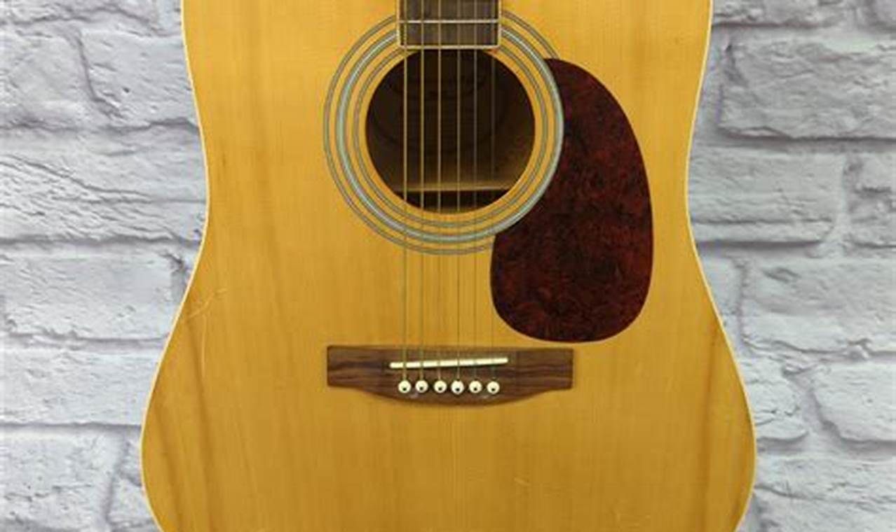 Unveiling the Art of Burswood Acoustic Guitars: Discoveries and ...