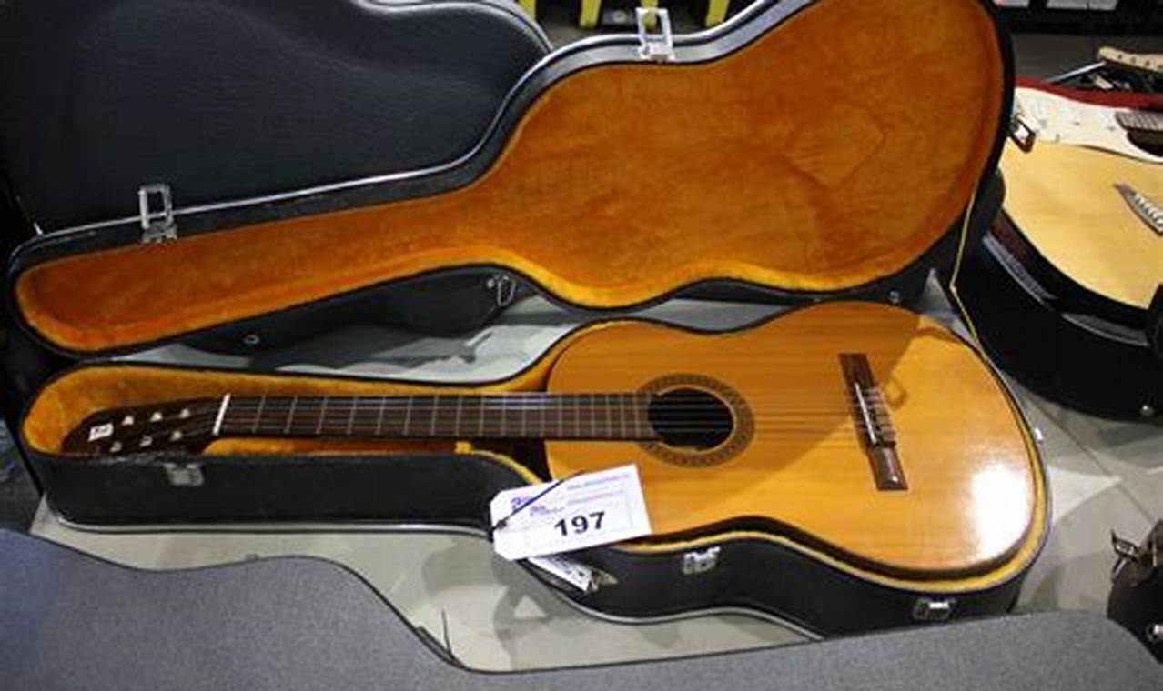 Unlock the Secrets of Ariana Grande's Guitar Case: A Journey of Style ...